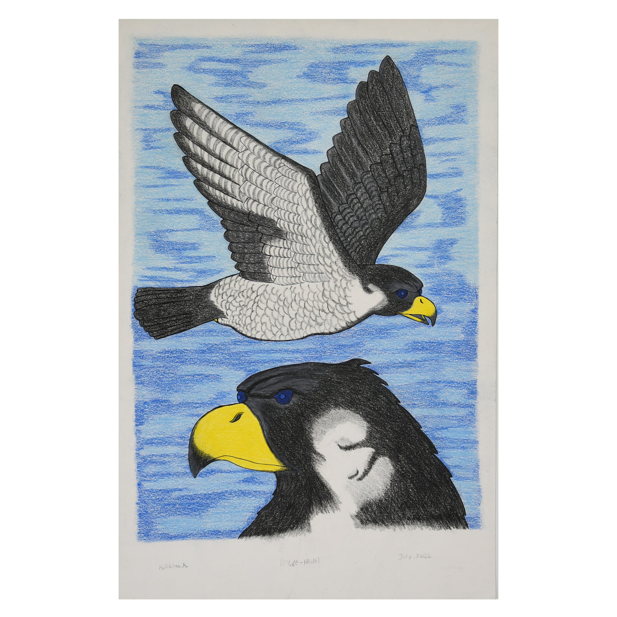 Hawk Drawing by Killiktee Killiktee — Craft Ontario