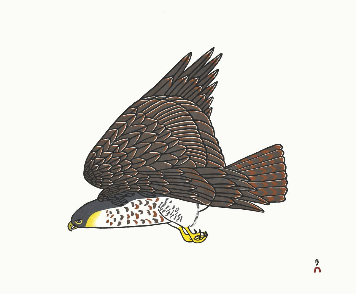 Peregrine Falcon by Pauojoungie Saggiak — Craft Ontario